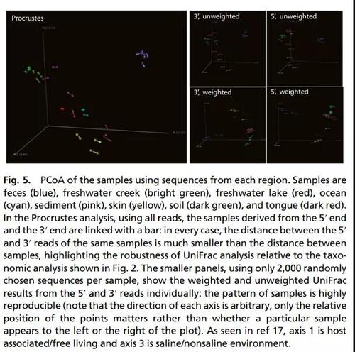 phyloseq | 用 R 分析微生物组数据及可视化