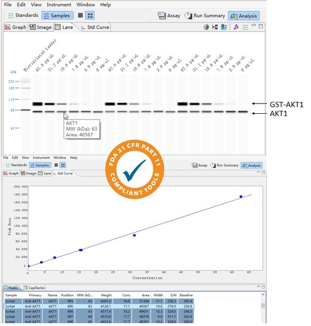 ProteinSimple 定量western检测