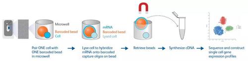 细数大规模单细胞转录组测序平台