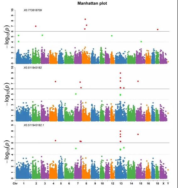 怎么画出漂亮的曼哈顿图