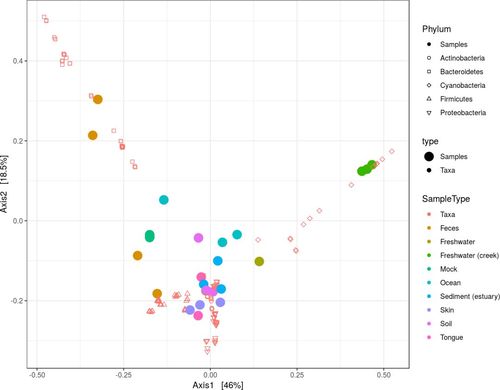 phyloseq | 用 R 分析微生物组数据及可视化