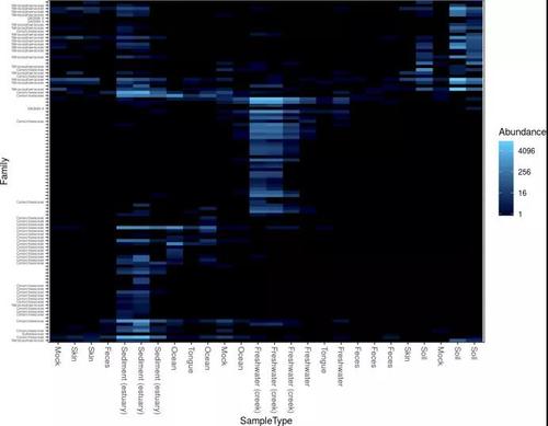 phyloseq | 用 R 分析微生物组数据及可视化