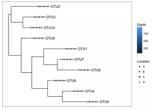 phyloseq | 用 R 分析微生物组数据及可视化