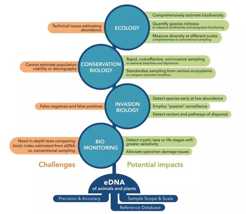 eDNA专题|环境DNA (eDNA) 宏条形码助力生物多样性研究