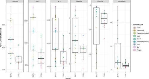 phyloseq | 用 R 分析微生物组数据及可视化