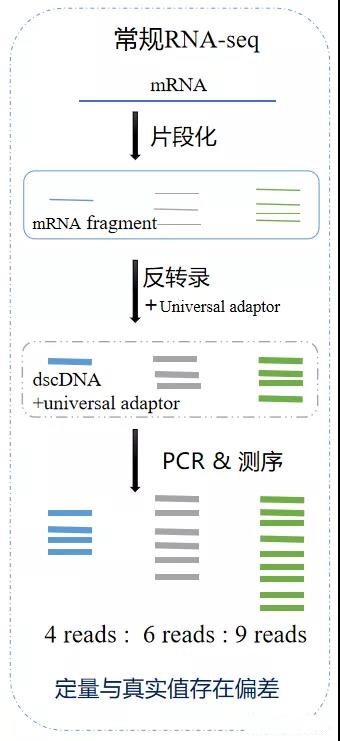给你的RNA一个UMI，更精准的转录组测序在这里！