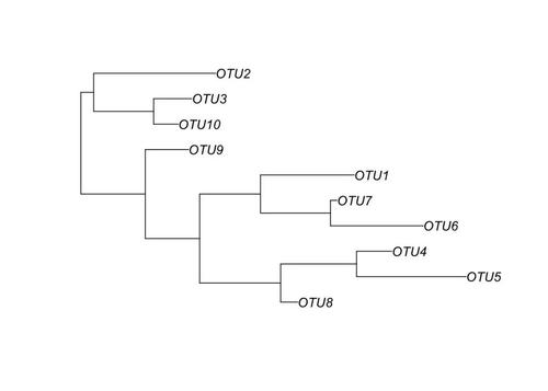 phyloseq | 用 R 分析微生物组数据及可视化