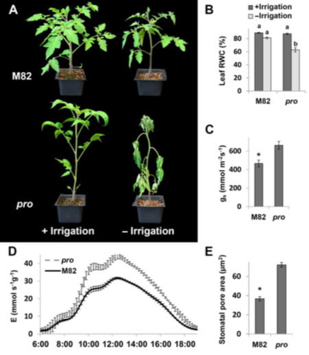 Plant array案例分享