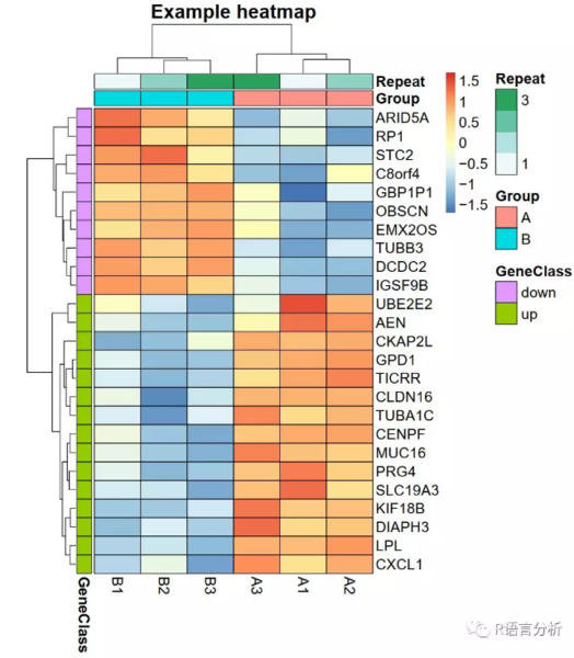 热图，运用pheatmap包简单易懂