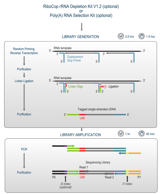 CORALL Total RNA-seq文库构建试剂盒