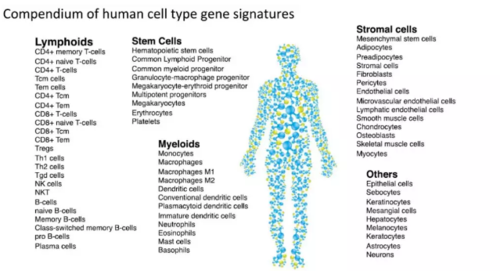 分享一个R包——免疫浸润xCell