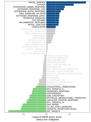 GSVA（基因集变异分析，反映了样本和感兴趣的通路之间的联系）