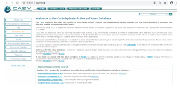 数据库|CAZymes在线注释以及本地化全攻略