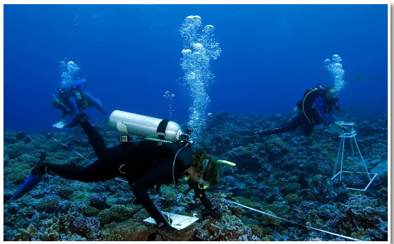 解读基于NGS技术的新应用领域“环境DNA（eDNA）”检测