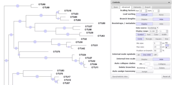 进化树专题（八）系统进化树美化-iTOL