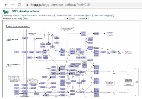 数据库|最全的KEGG使用教程在这里！