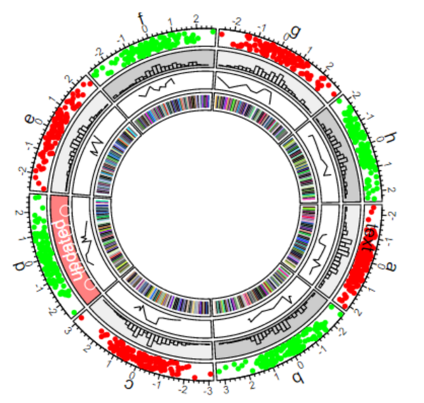 如何使用R语言circlize包绘制漂亮圈图（一）