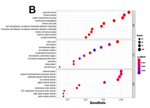 结合WGCNA的ceRNA分析