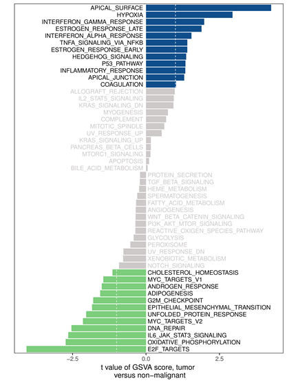 GSVA（基因集变异分析，反映了样本和感兴趣的通路之间的联系）